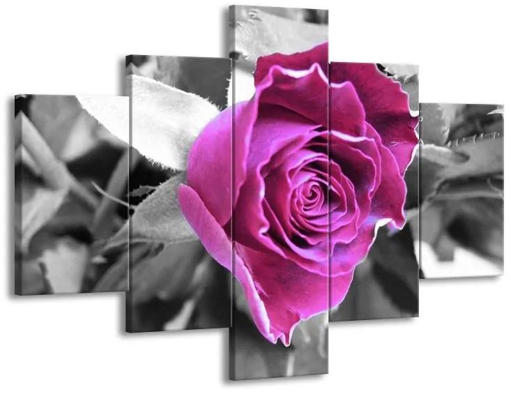 Divoká růže 100x70 cm