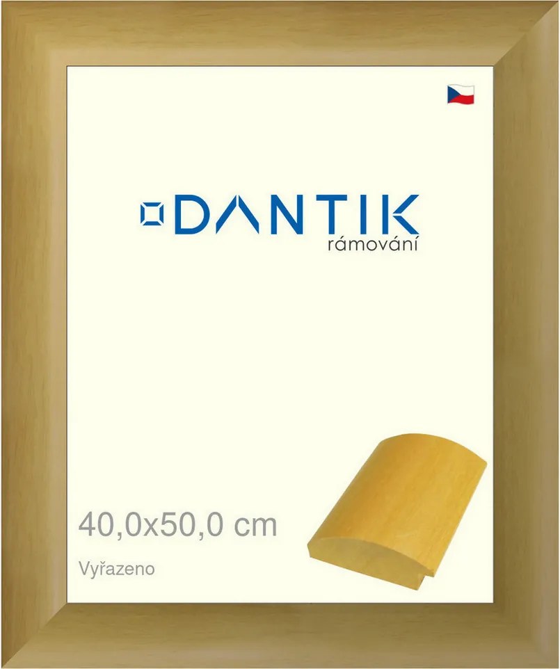 DANTIK rámeček 40x50 | Vyřazeno | RENÉ přírodní (Sklo Čiré)