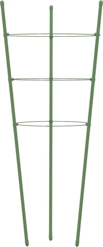 Opory pro zahradní rostliny se 3 kroužky 5 ks zelené 60 cm ocel 319373
