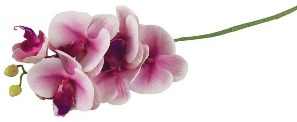 Umělá orchidej X4920-11 - 14 x 7 x 72 cm