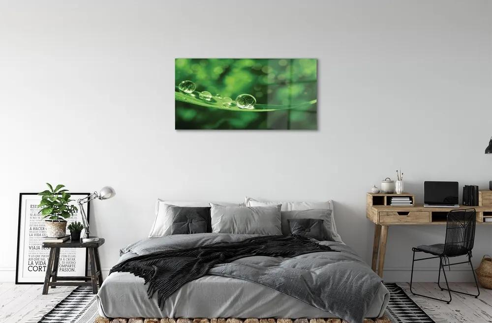 Obraz na skle Vodní kapky makro 120x60 cm