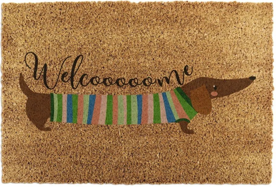 Rohožka z kokosového vlákna 40x60 cm Welcome Sausage Dog – Artsy Doormats