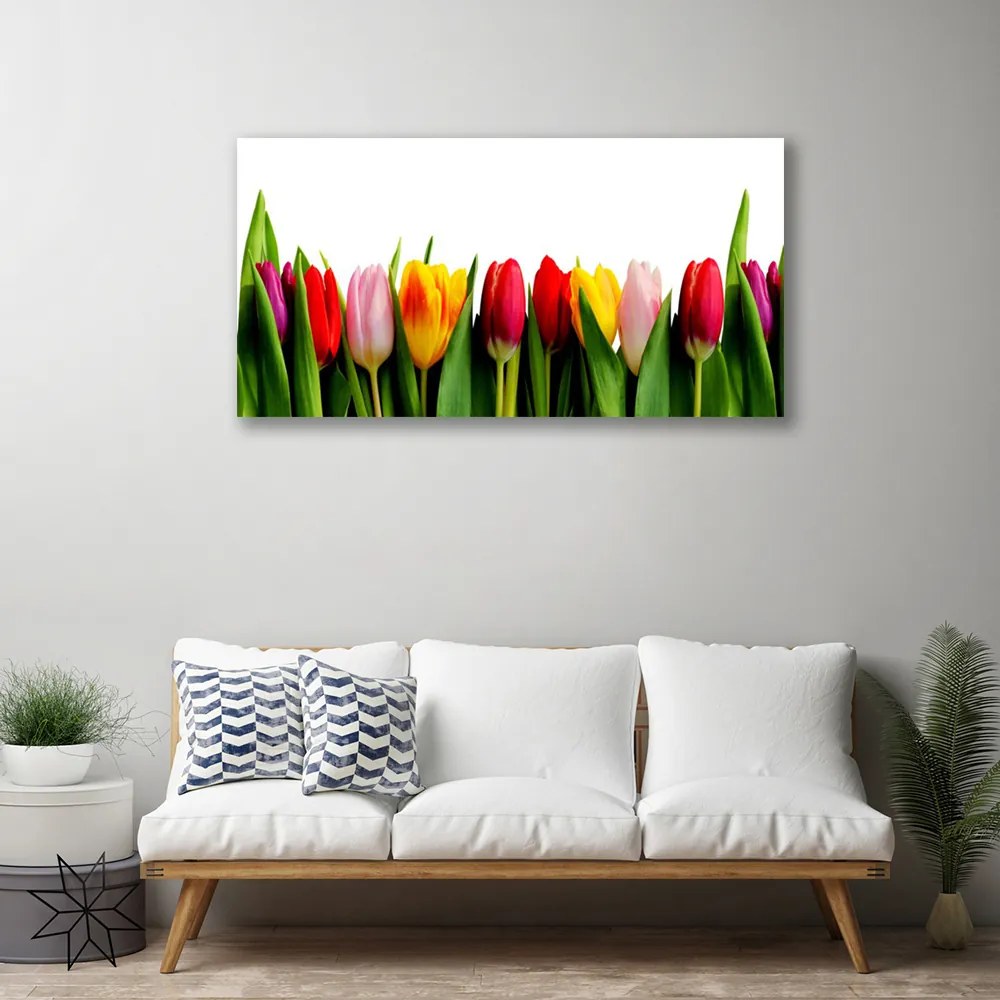 Obraz na plátně Tulipány Rostlina 100x50 cm