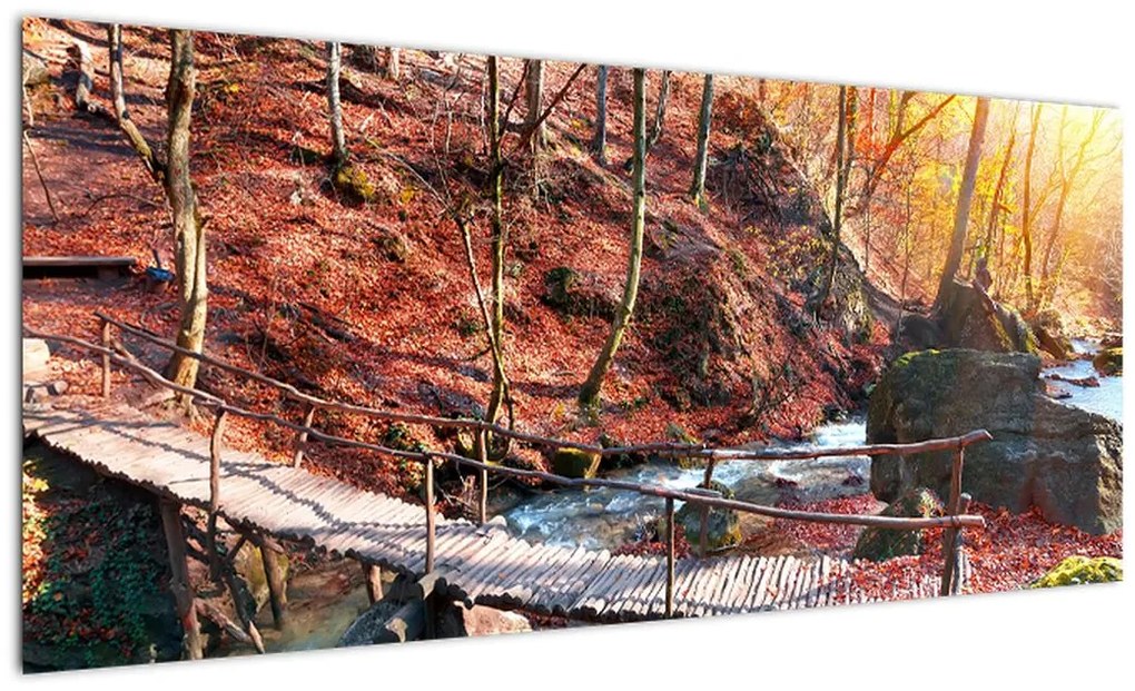 Obraz mostu - podzimní cesta lesem (100x40cm)