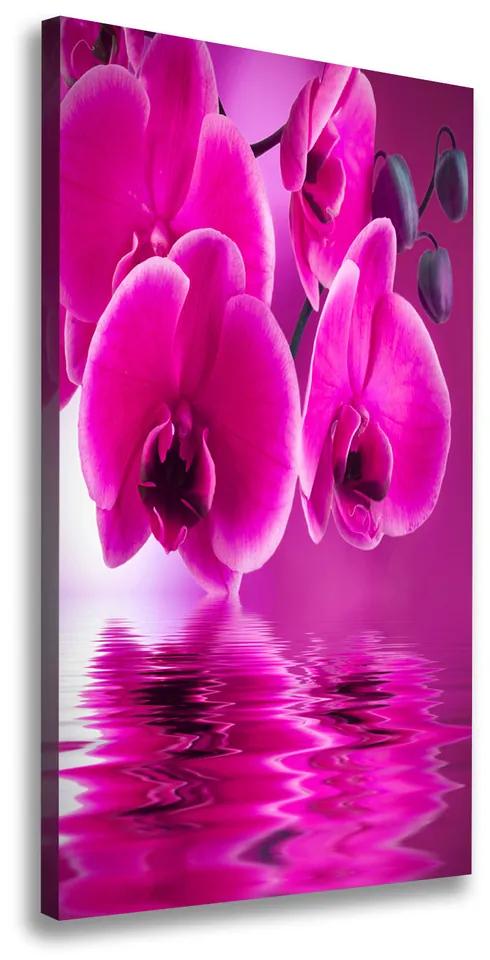 Wallmuralia Foto obraz na plátně Růžová orchidej 60x120 cm