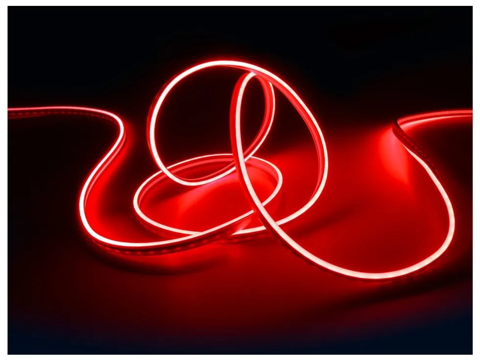 Bílá led páska 300 cm Neon – Reality