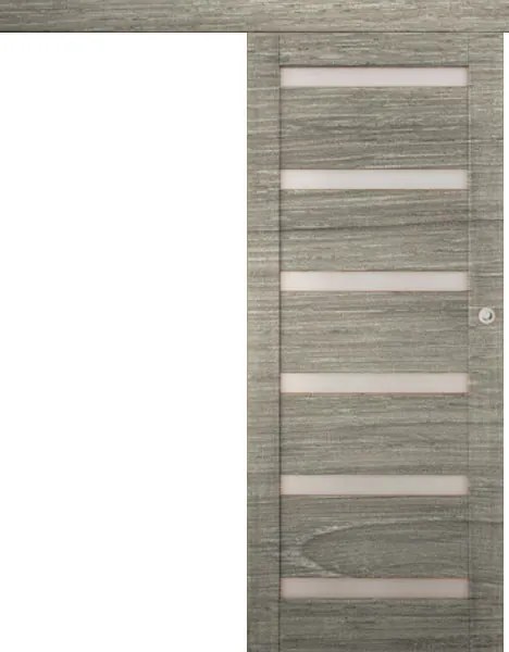 posuvné interiérové dveře na stěnu vasco doors EVORA model 5 Průchozí rozměr: 70 x 197 cm, Orientace dveří: Levé dveře, Dekor: Dub stříbrný