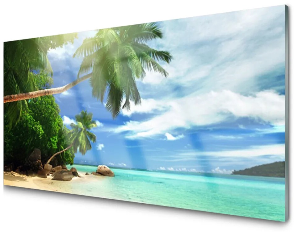 Skleněný obraz Palma Pláž Moře Krajina