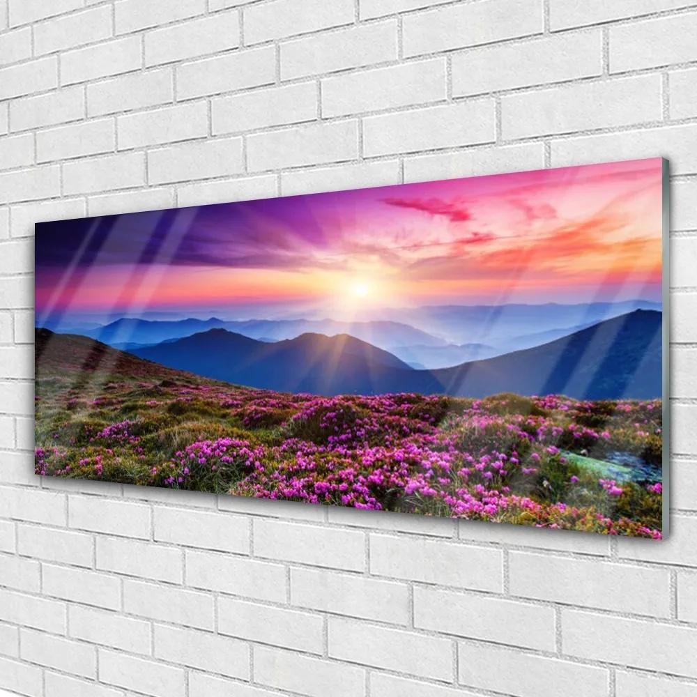 akrylový obraz Hora Louka Květiny Krajina 125x50 cm