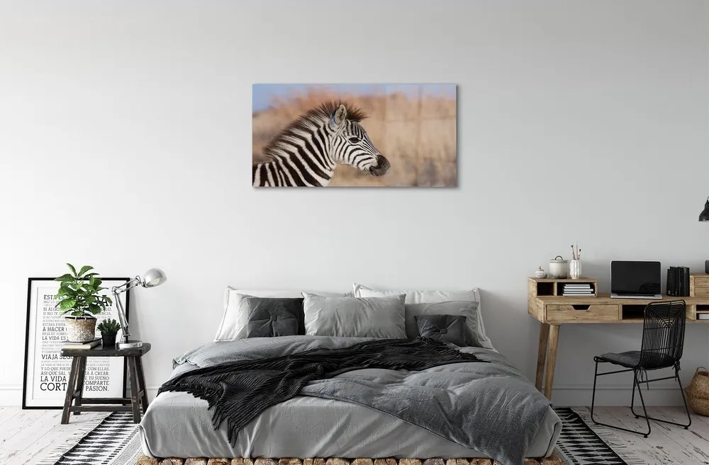 Obraz na skle zebra 100x50 cm