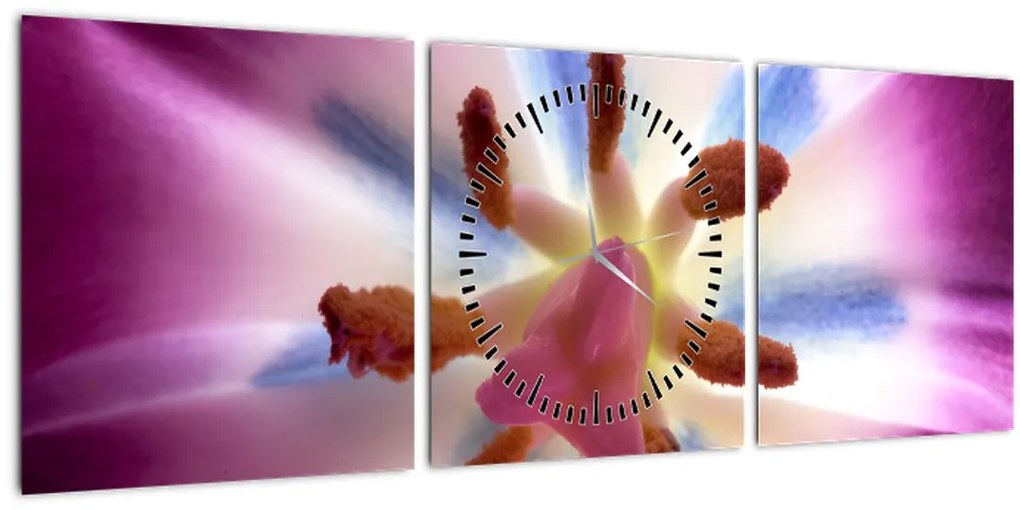 Obraz - Květ tulipánu v detailu (s hodinami) (90x30 cm)