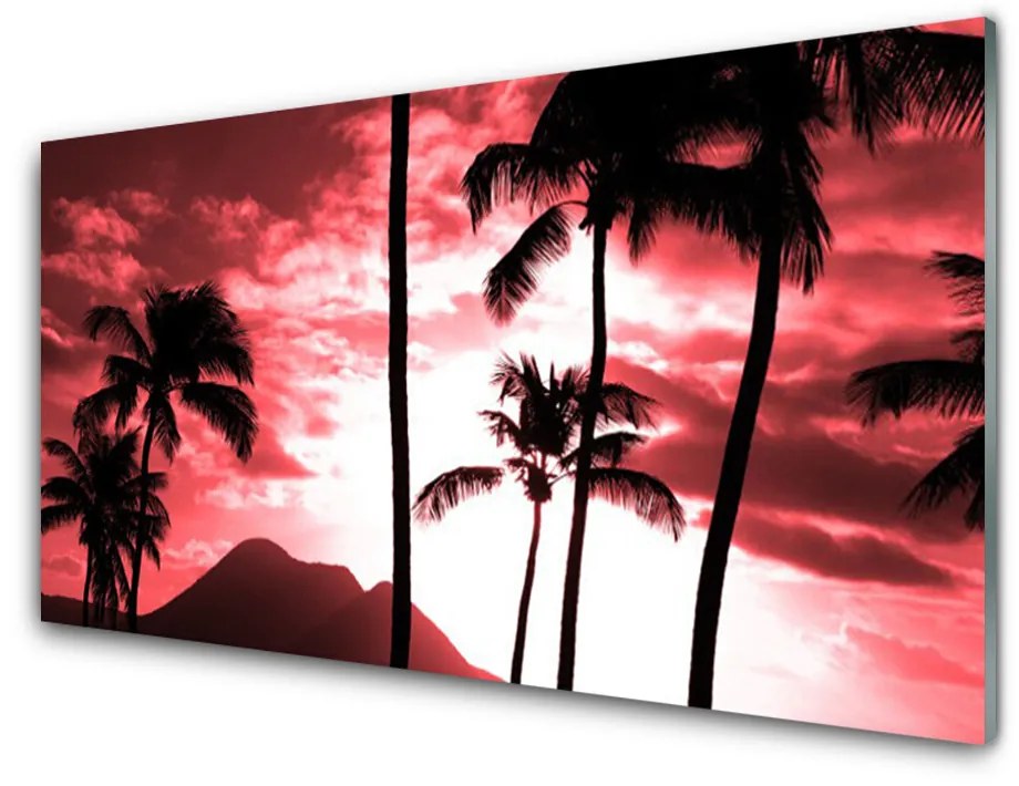 akrylový obraz Hora Palmy Stromy Příroda 140x70 cm