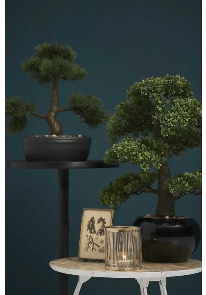 Emerald Umělý fíkus mini bonsai zelený 47 cm 420006 - Default Title