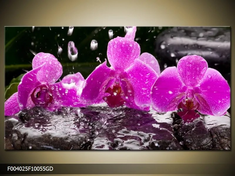 Obraz fialových orchidejí za deště (), 40 dalších rozměrů