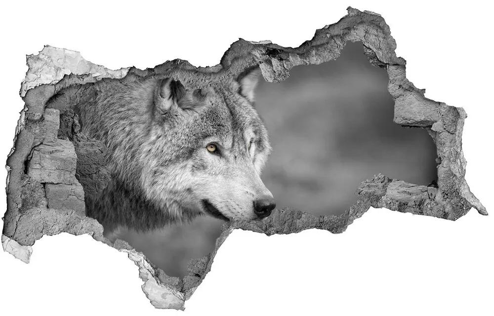 Wallmuralia Díra 3D fototapeta na stěnu Šedý vlk 95x73 cm
