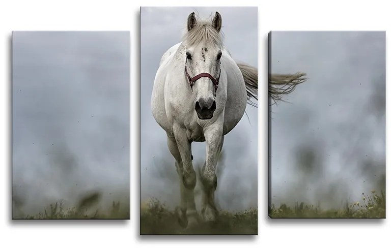 Sablio Obraz - 3-dílný Bílý kůň 3 - 75x50 cm