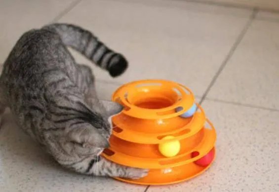 Hračka pro kočky – věž s míčky