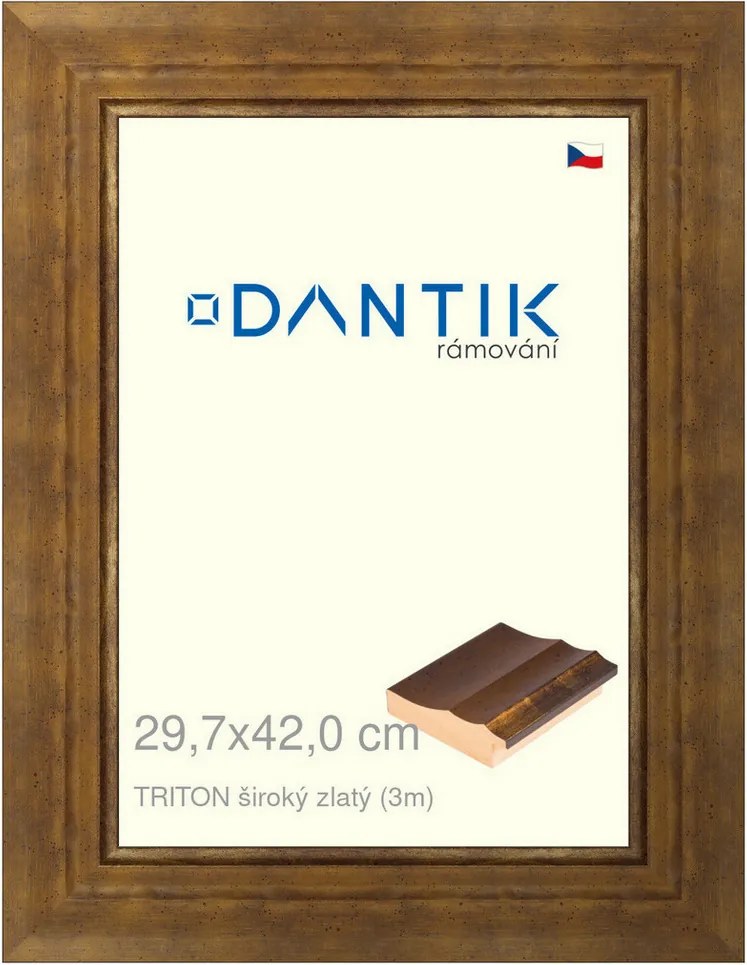 DANTIK rámeček 29,7x42 | TRITON široký zlatý (Plexi Čiré)