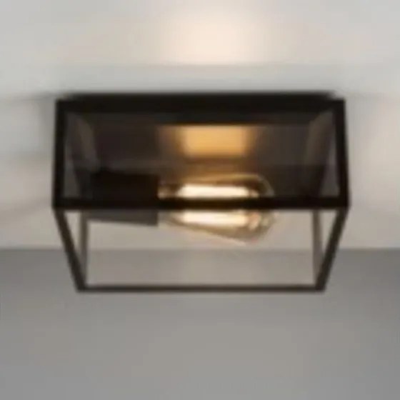 AST 1353001 Venkovní stropní svítidlo Bronte Ceiling Light černá 1x60W E27 (starý kód: AST 7388) - ASTRO Lighting