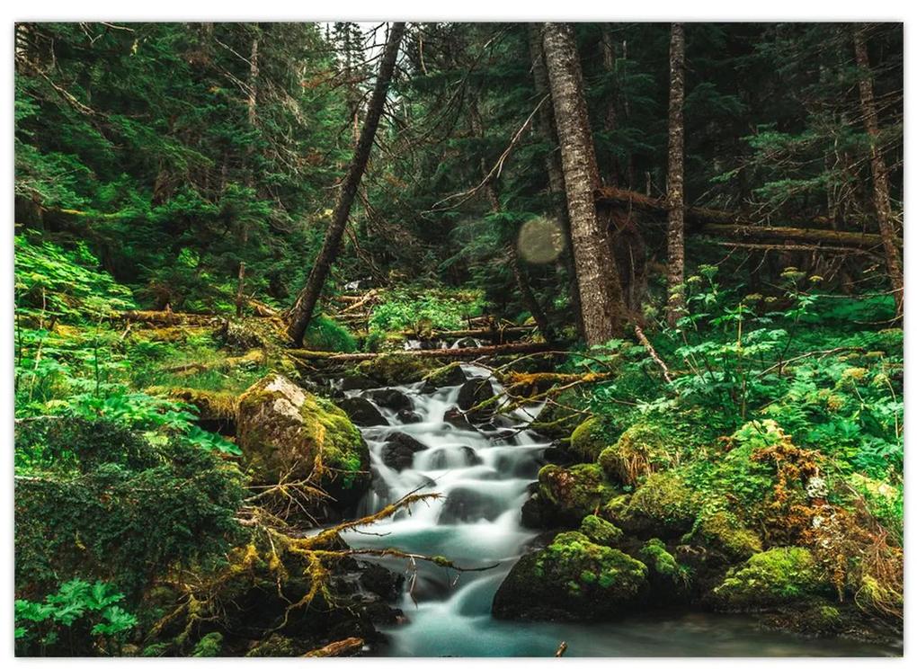 Skleněný obraz potoku v lese (70x50 cm)
