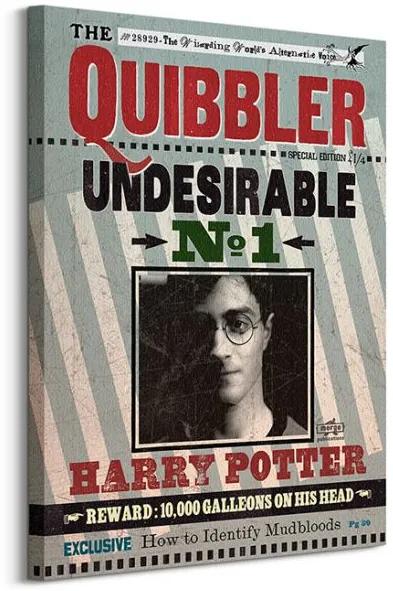 Obraz na plátně Harry Potter (Quibbler) 60x80cm WDC99364