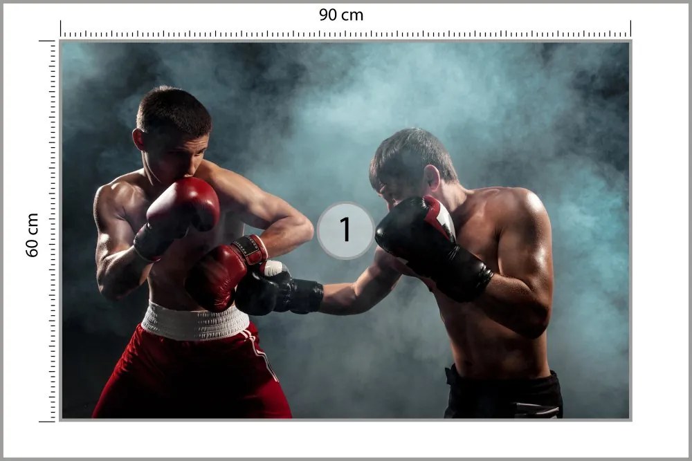 Fototapeta Profesionální Zápas Boxera Samolepící tapety 90x60