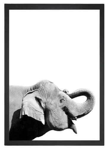 Obraz Tablo Center Elephant, 24 x 29 cm