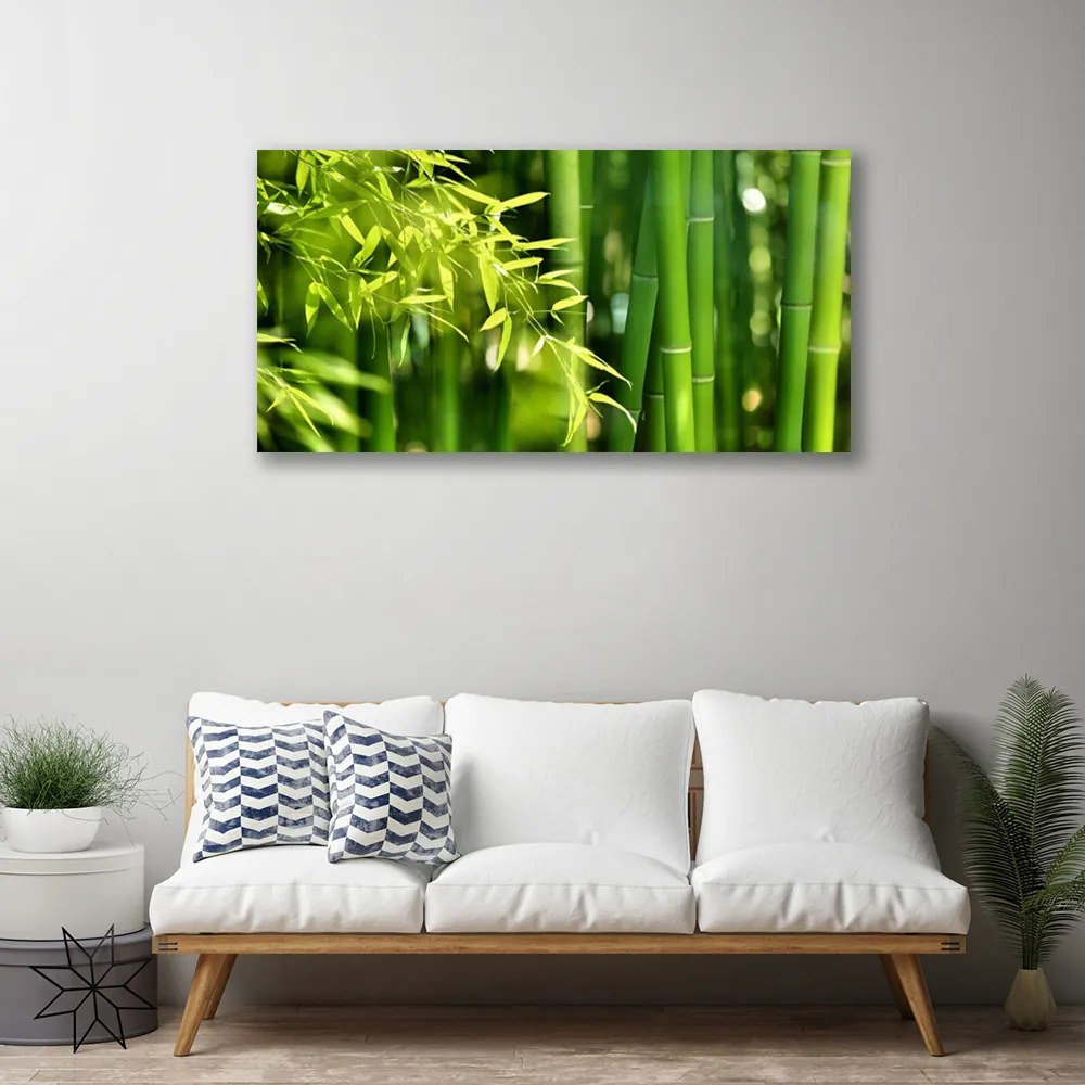 Obraz na plátně Bambus Listy Rostlina 120x60 cm