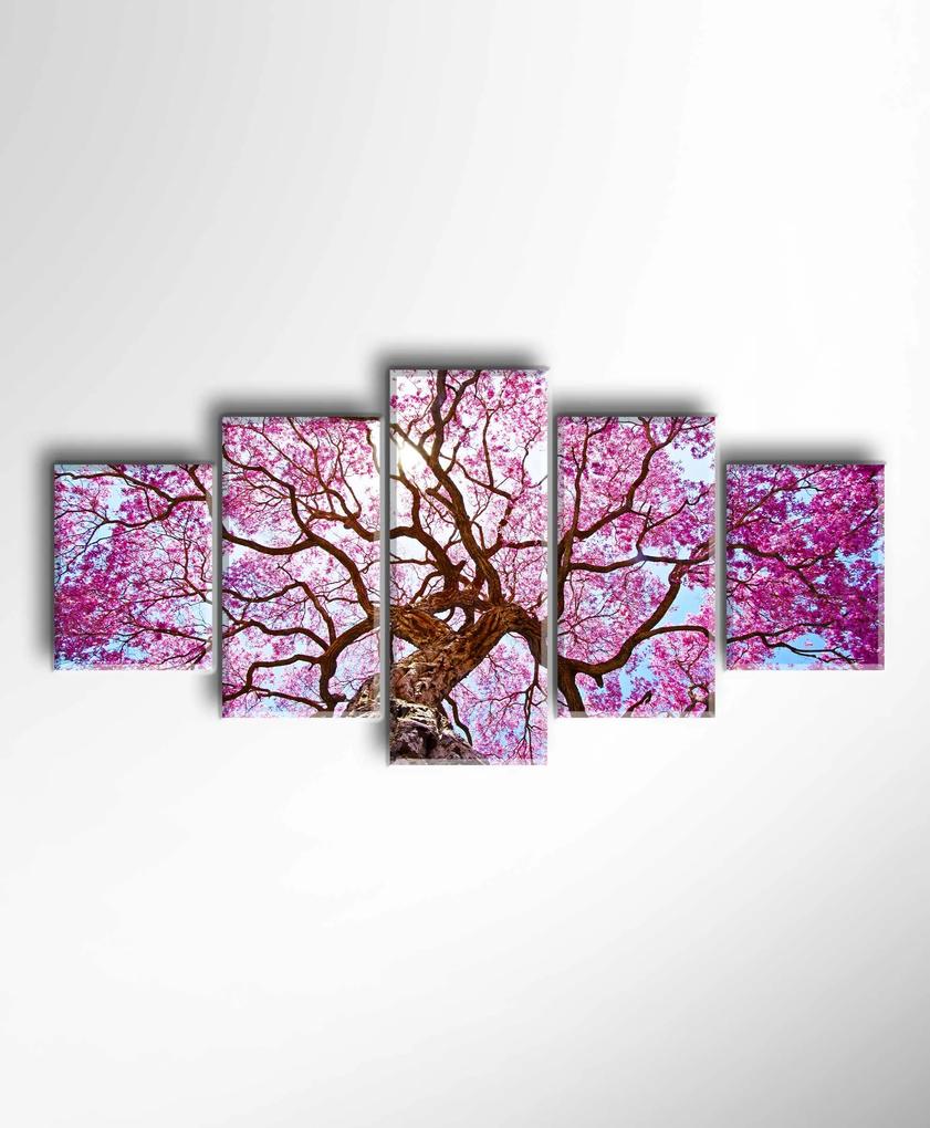 Malvis ® Obraz Rozkvetlý strom s růžovými květy ROZMĚR (šířka x výška): jednodílný obdélník 150x60 cm