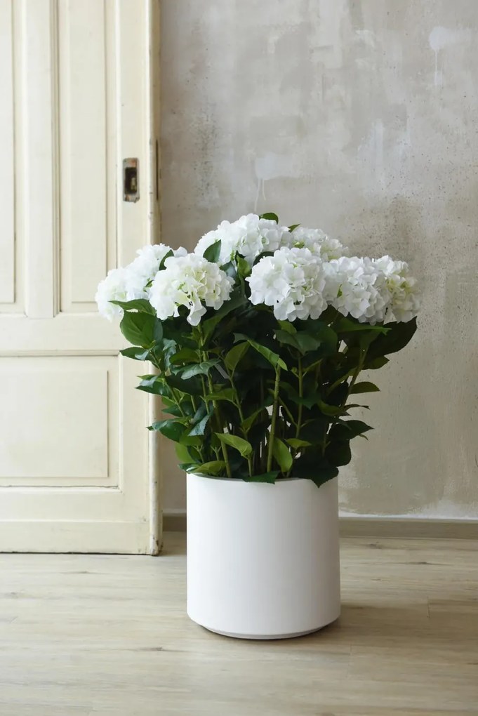 Umělá hortenzie HYDRANGEA v bílém květináči, výška 90 cm, bílá
