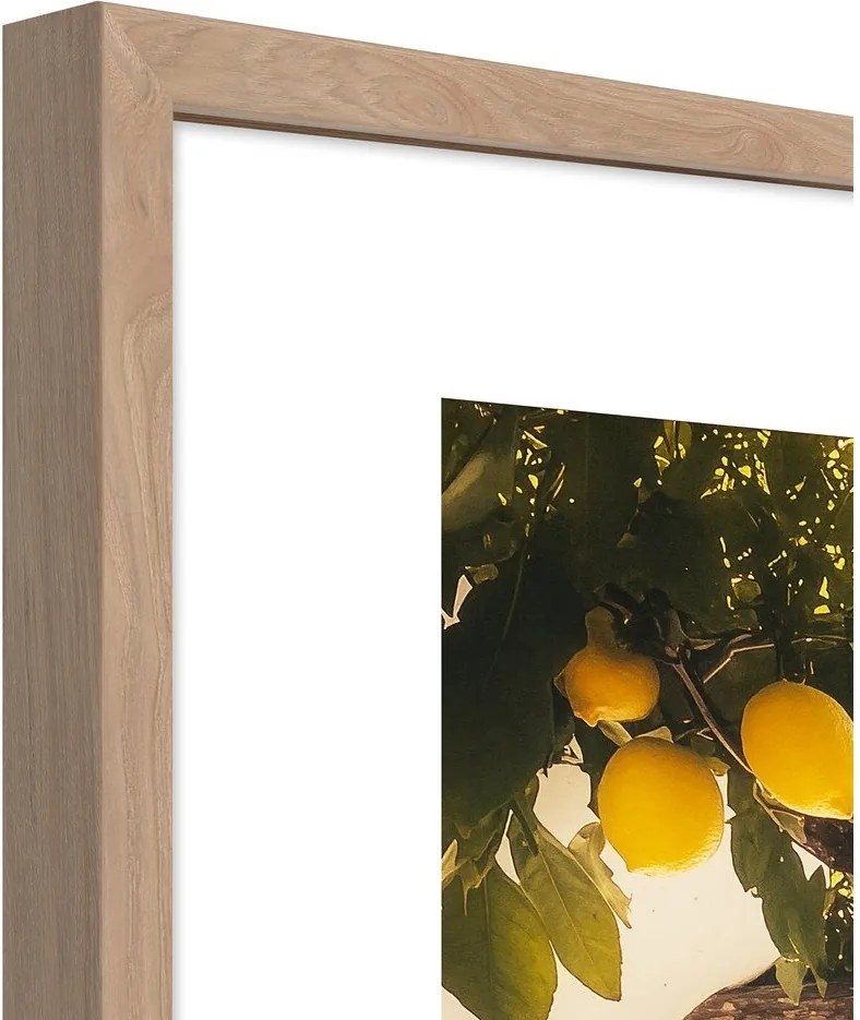 Tištěný obraz s rámem 50x70 cm Lemon View – Styler