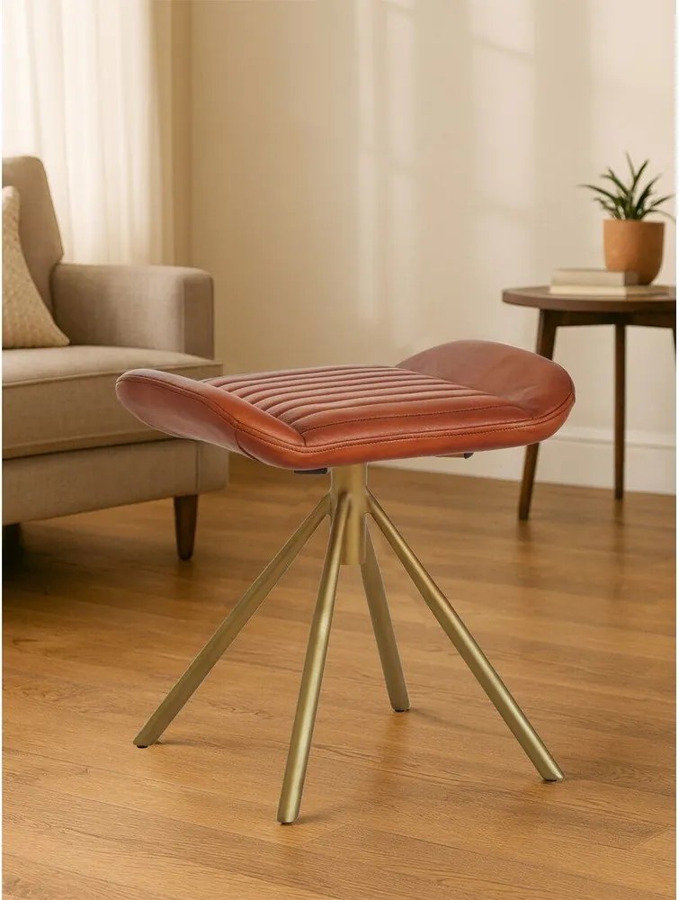 Hnědá stolička Buffalo – Premier Housewares