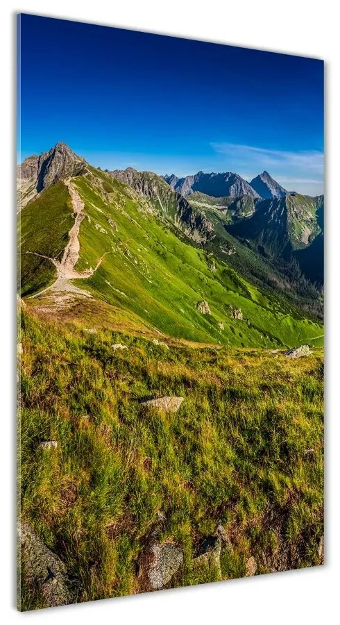 Wallmuralia Vertikální Fotoobraz skleněný na stěnu do obýváku Tatry 50x100