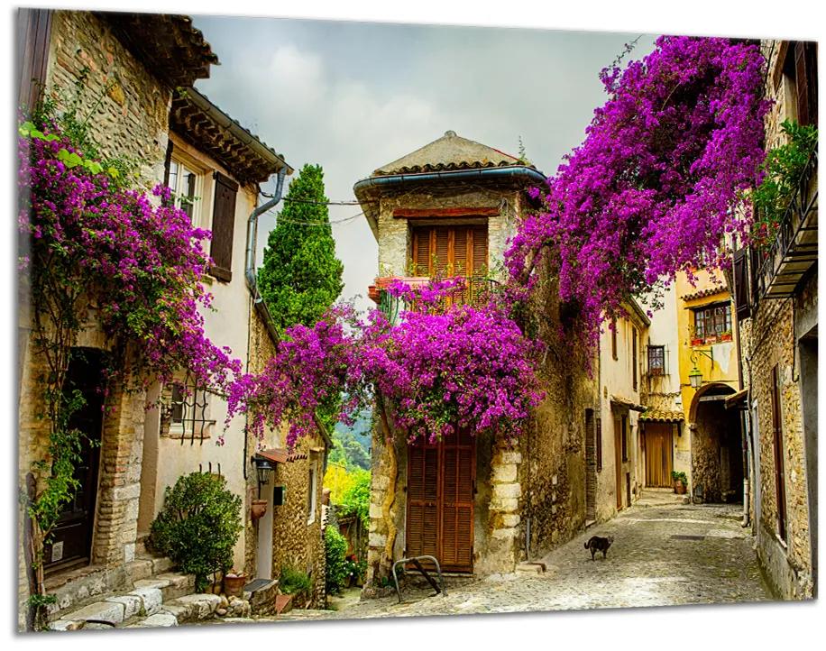 Obraz na plátně Provence 2628AX