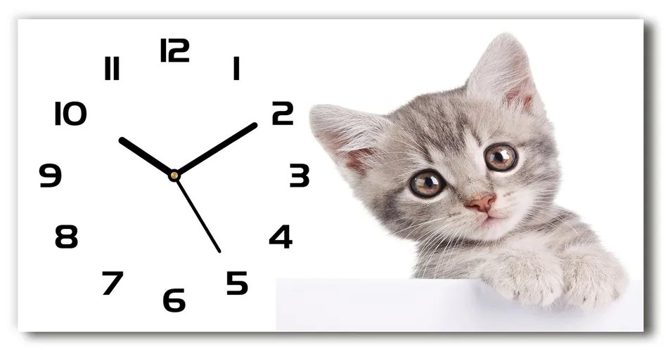Wallmuralia Moderní skleněné hodiny na stěnu Šedá kočka 60x30 cm
