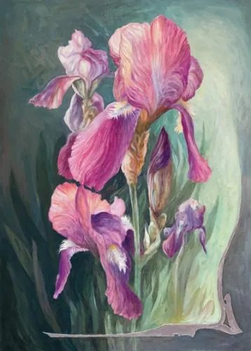 Iris fialový II - 30 x 40 cm