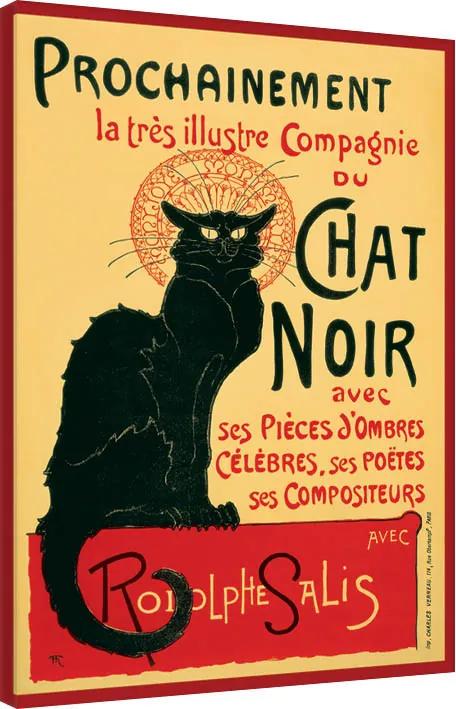 Obraz na plátně Chat Noir, (60 x 80 cm)