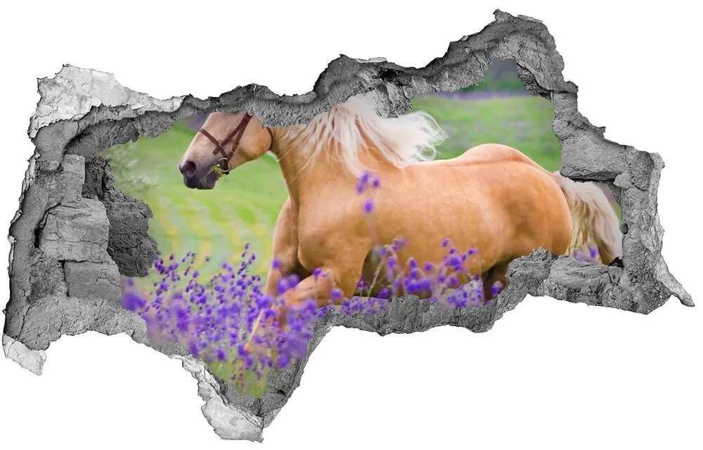 Wallmuralia Díra 3D fototapeta Kůň na poli levandule 95x73 cm