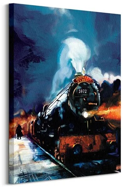Art Group Obraz na plátně Harry Potter (Hogwarts Express) 60x80cm