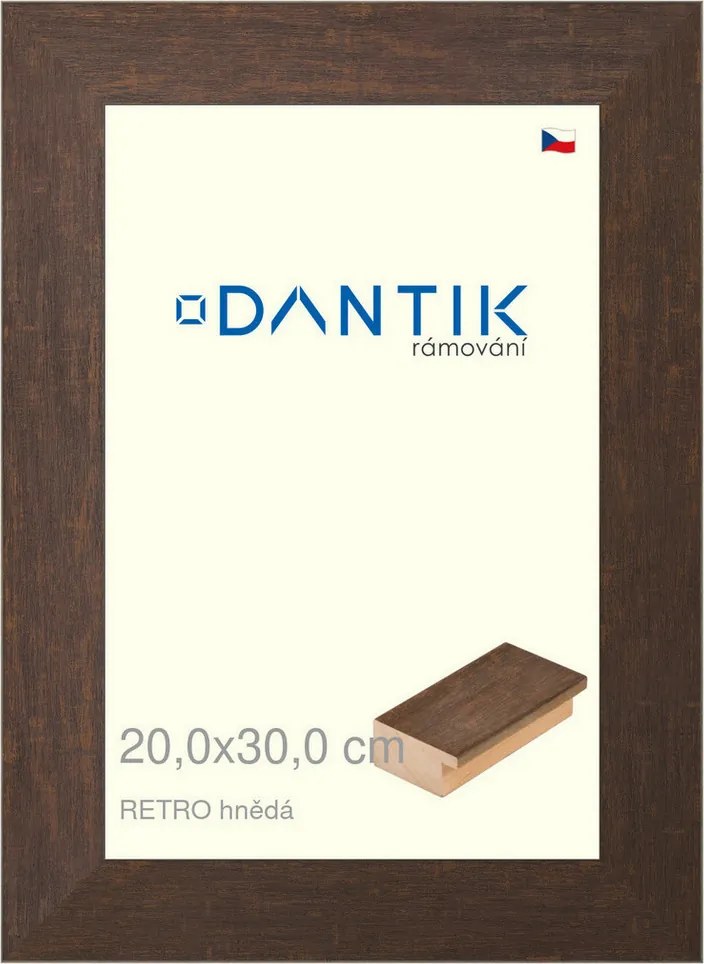 DANTIK rámeček 20x30 | RETRO hnědá (Sklo Čiré)