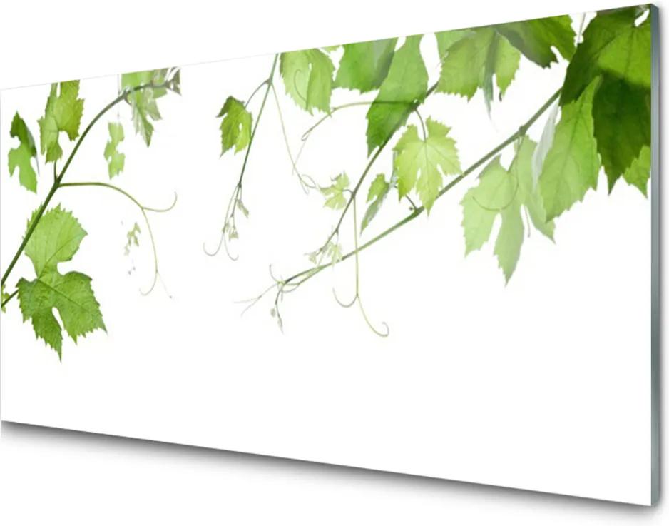 Skleněné obklady do kuchyně Větve Listy Příroda Květiny | BIANO