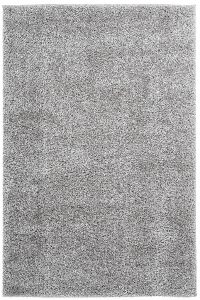 Obsession koberce Kusový koberec Emilia 250 silver ROZMĚR: 80x150