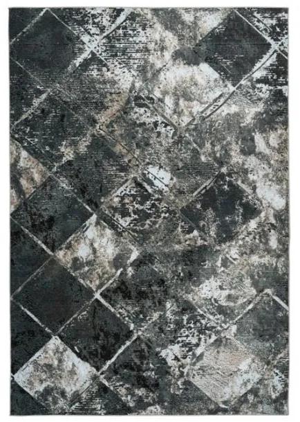 Kusový koberec Greta 805 pet Varianta: 200x290 cm