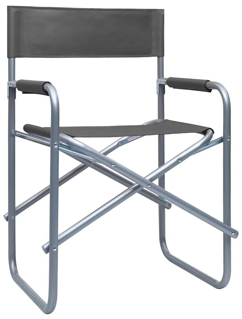 vidaXL Režisérské židle 2 ks ocel šedé