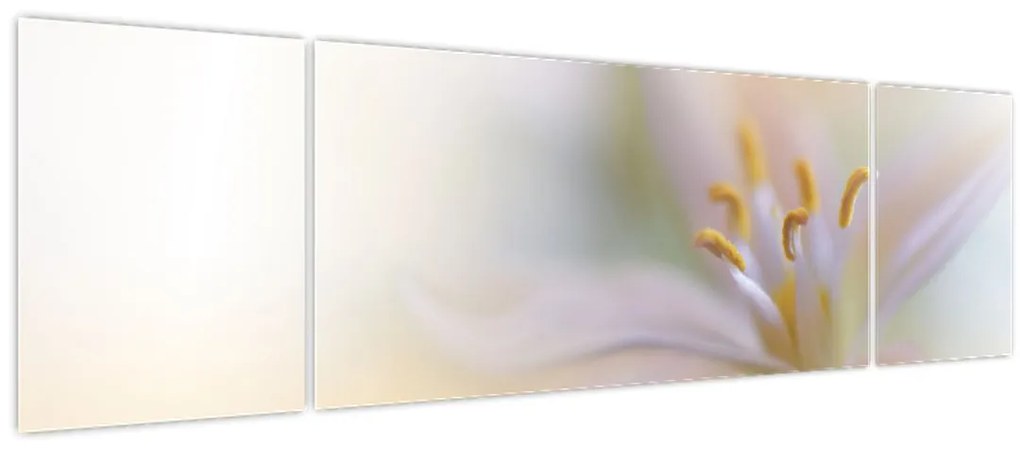 Obraz - Jemný květ (170x50 cm)