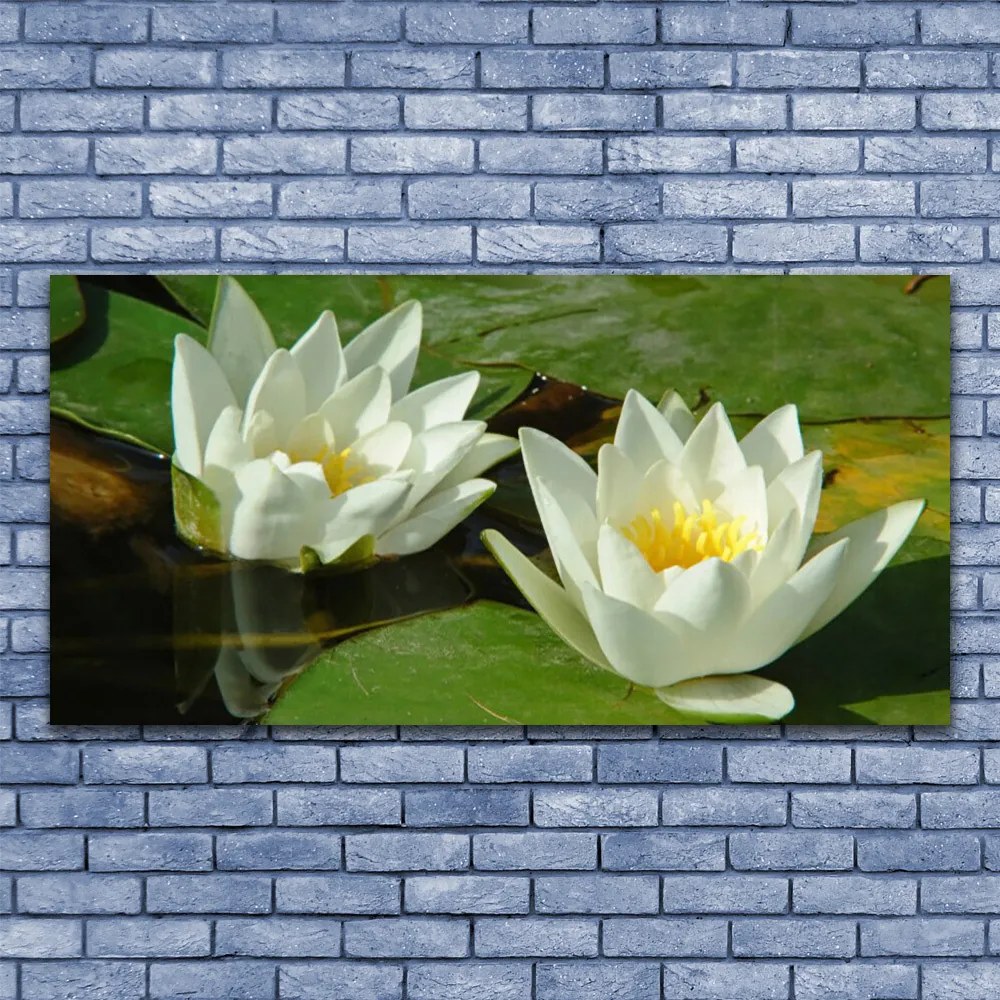 Plexisklo-obraz Květiny Rostliny Příroda 120x60 cm