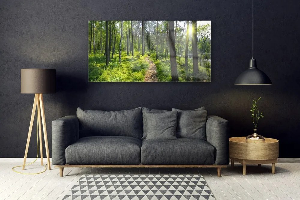 Plexisklo-obraz Les Stezka Cestička Příroda 120x60 cm