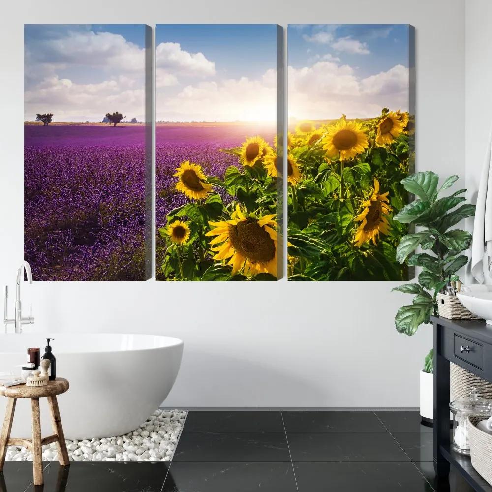 Vícedílný obraz Levandulová A Slunečnicová Pole 3D Nedostatek Nedostatek Plátno Canvas 150x100