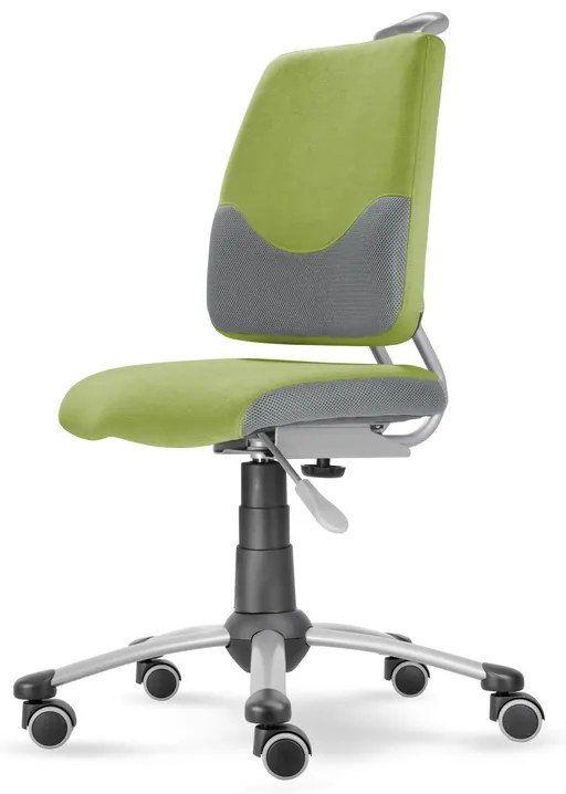 Dětská rostoucí židle Mayer Actikid 2428 A3 53