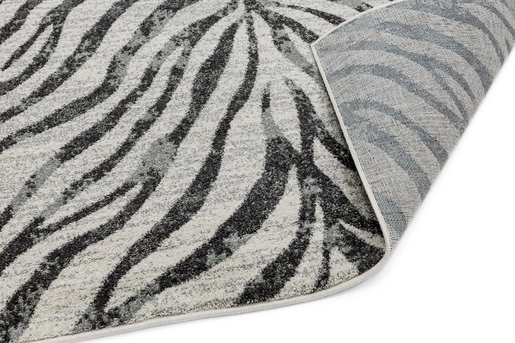 Šedý  koberec Dinamo Zebra Grey Rozměry: 160x230 cm